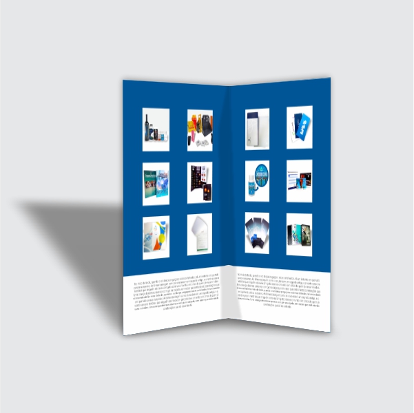 Folder 1 Dobra / 2 Dobras - Lisegraff